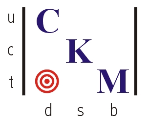 CKM Group at University of Virginia